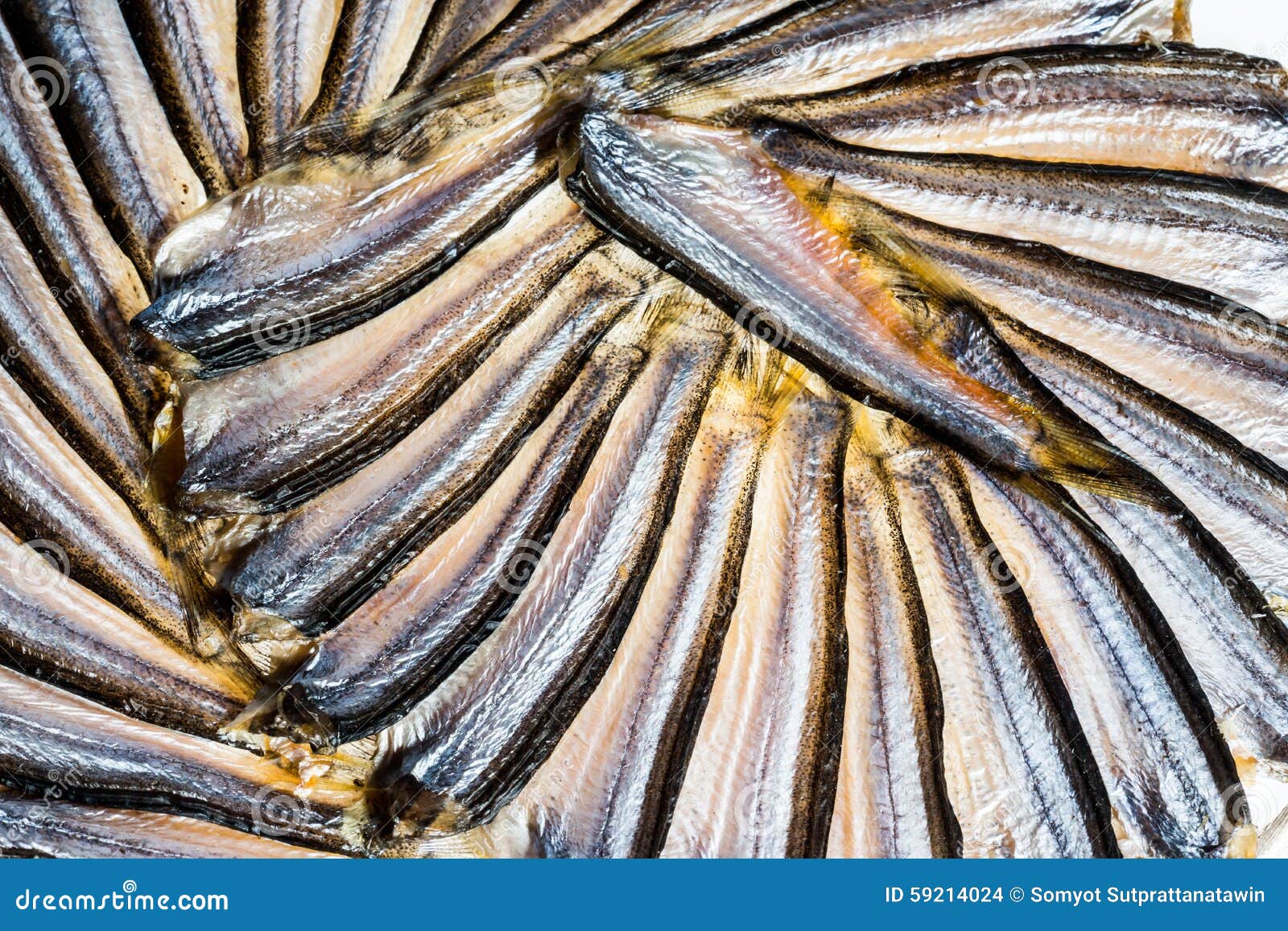 Fish Texture Stock Image | CartoonDealer.com #59933173