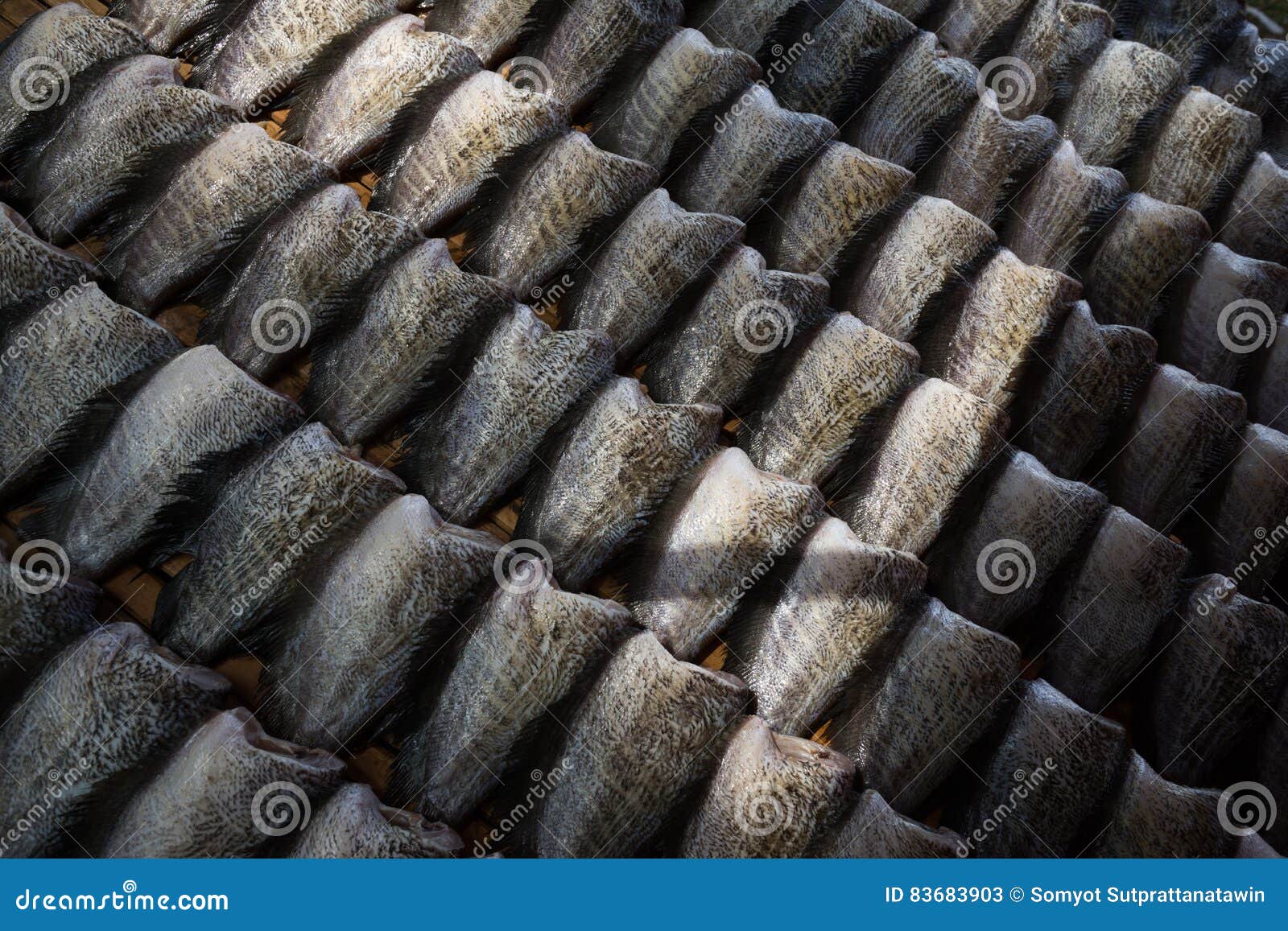 Fish texture background stock image. Image of background - 83683903