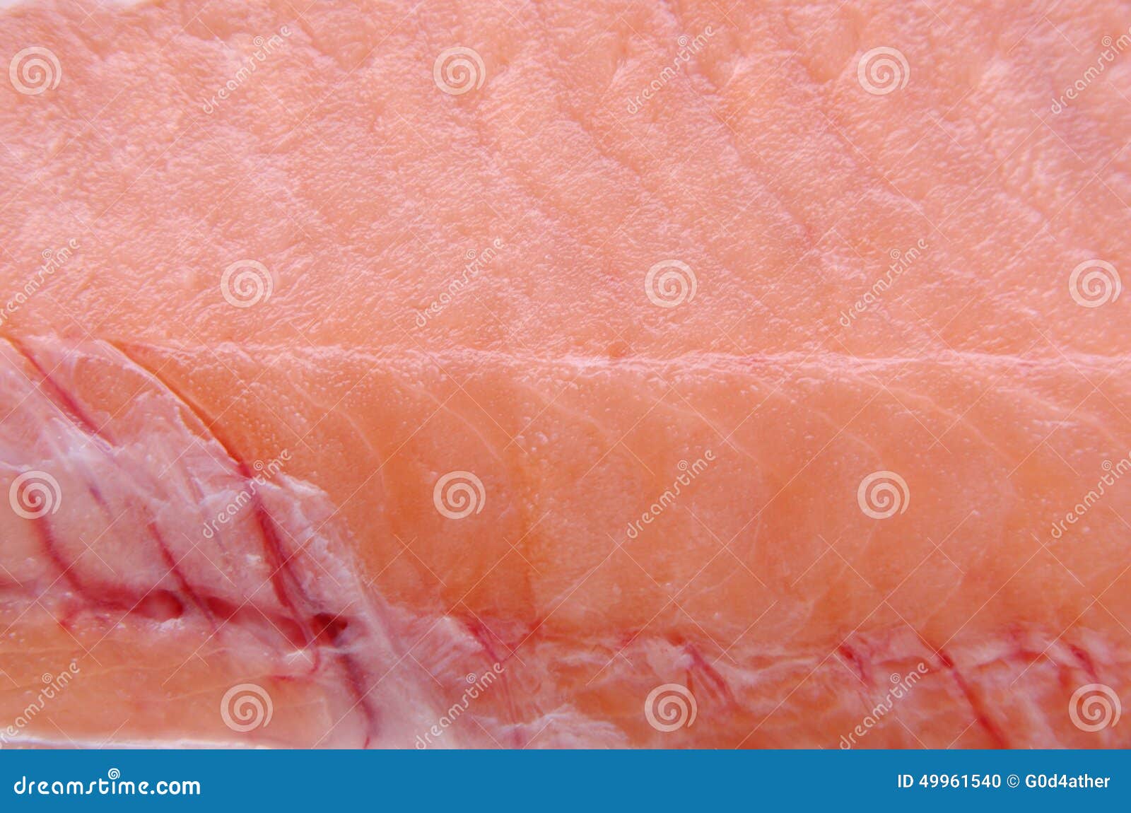 Fish texture stock photo. Image of fillet, macro, blood - 49961540