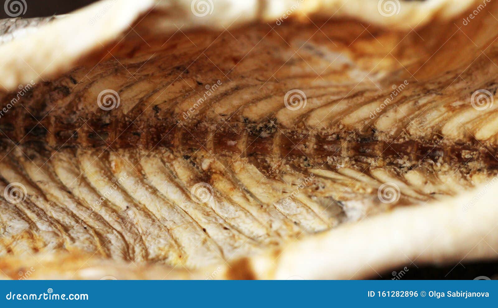Fish Texture, Skeleton and Spine, Background Stock Photo - Image of ...