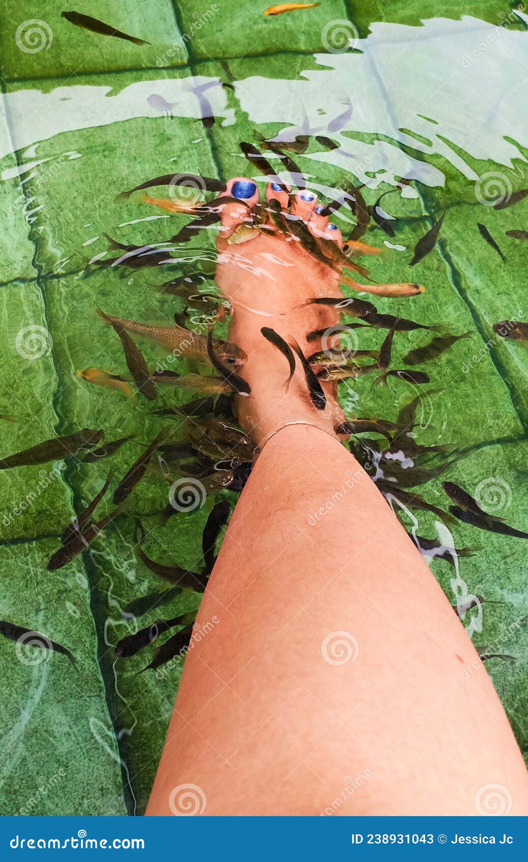 Fish Therapy To Remove Dead Skin Cells Stock Image - Image of fish ...