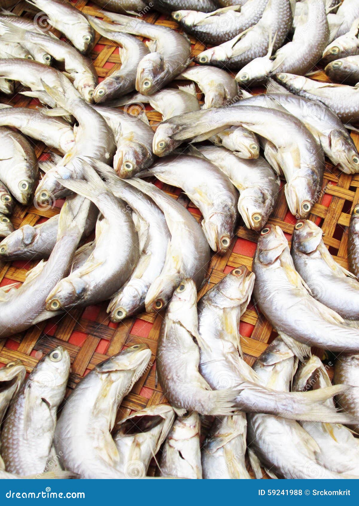 Fish on threshing basket stock photo. Image of food, closeup - 59241988