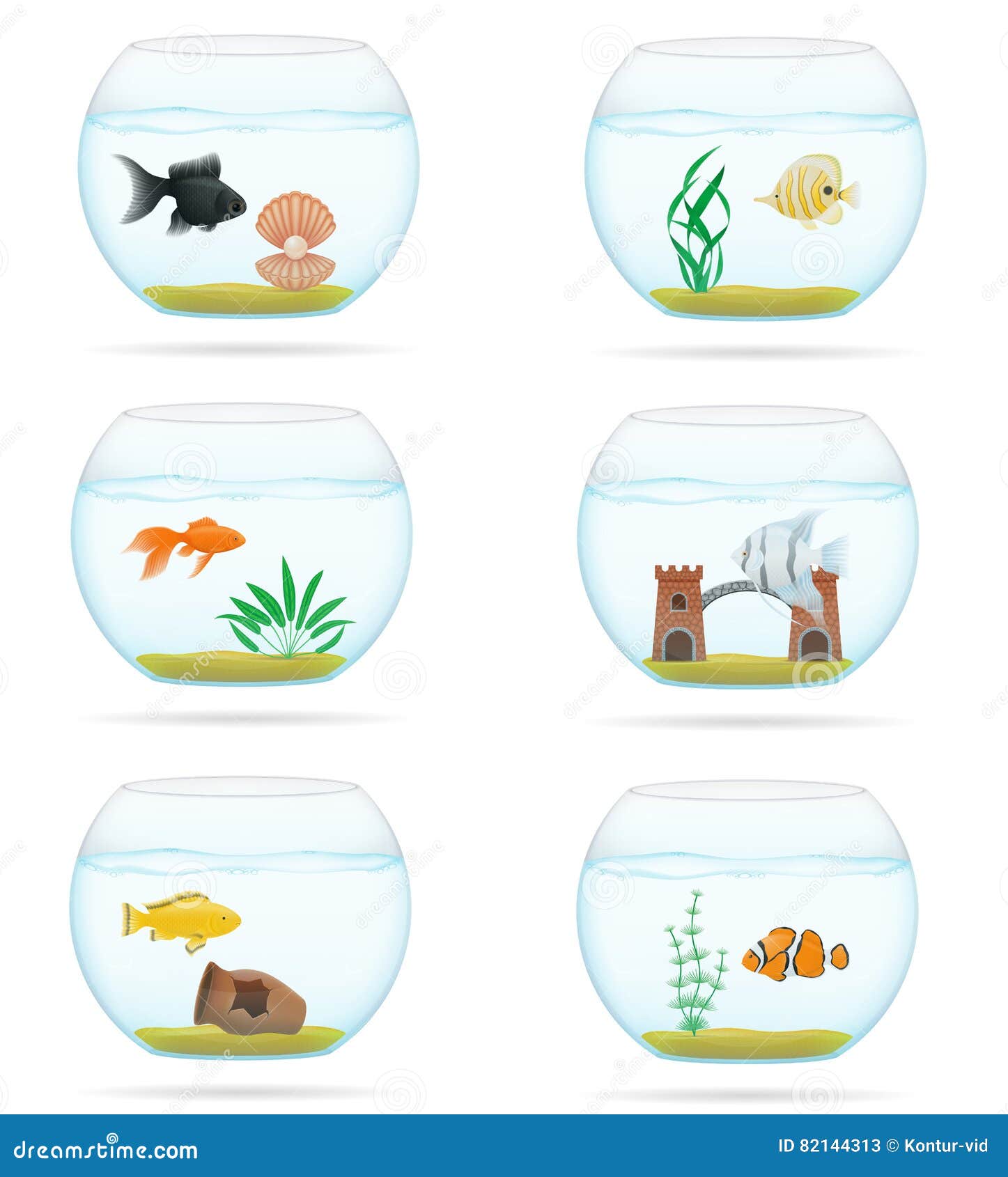 Transparent Aquarium Vector Illustration Habitat Water Tank House ...