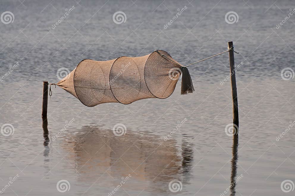 Fish trap stock photo. Image of mesh, marine, line, beach - 24206872