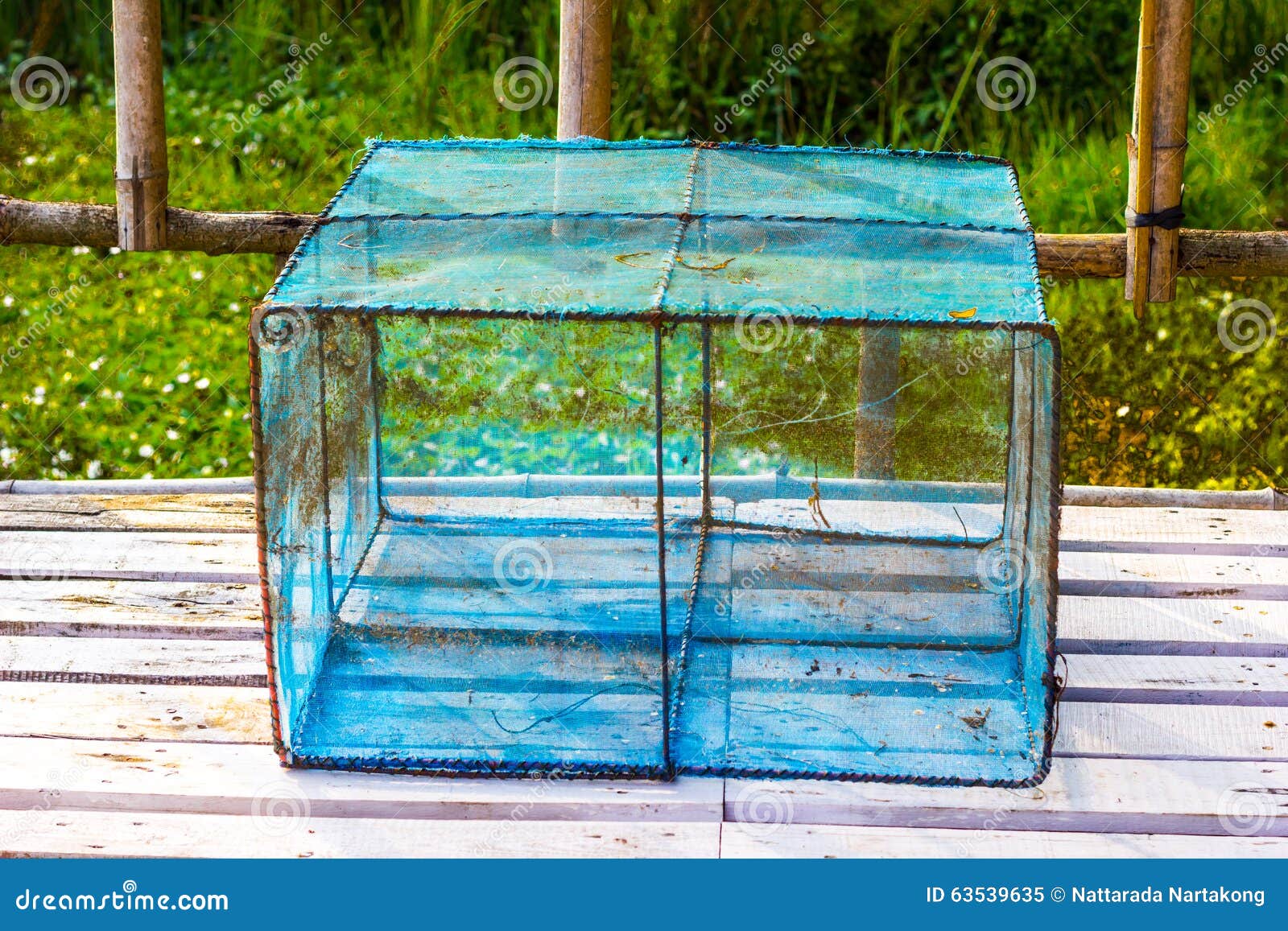 Fish trap cages stock image. Image of blue, empty, fish - 63539635