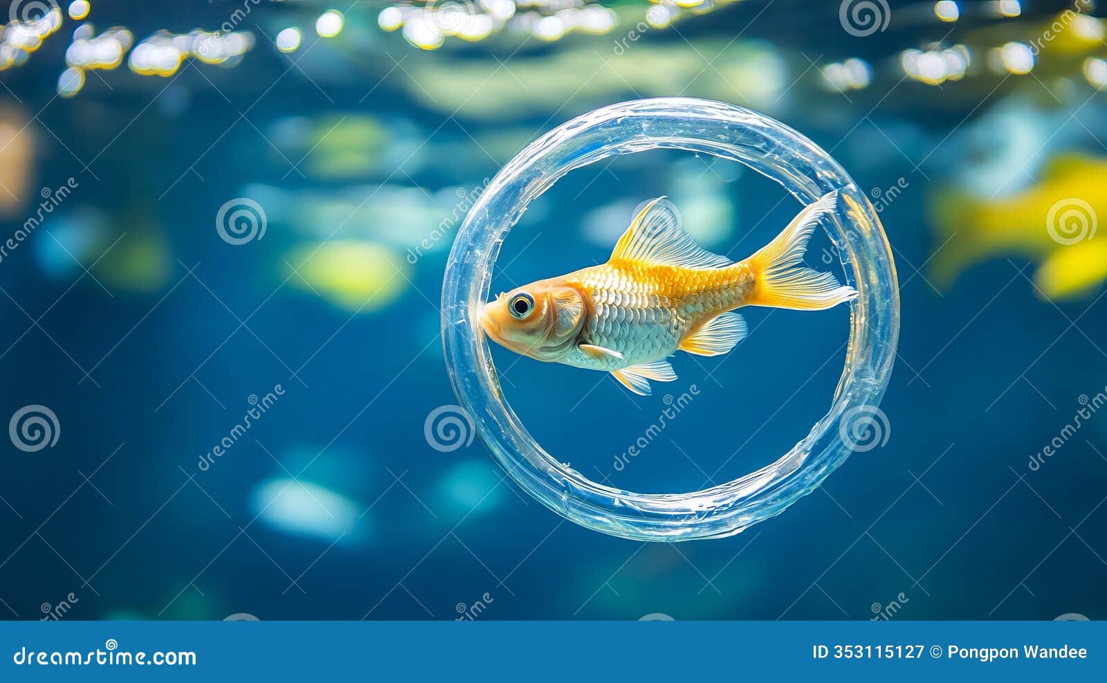 Fish Trapped Inside Discarded Plastic Ring in Underwater Environment ...