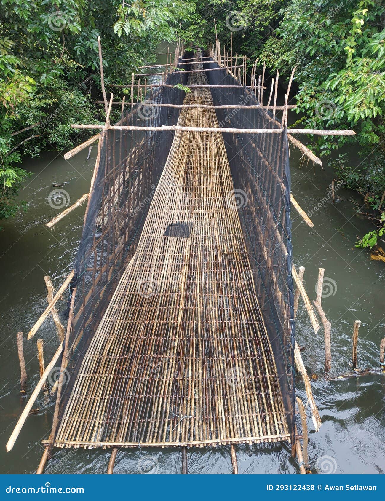 Fish traps stock photo. Image of tree, pond, river, waterway - 293122438