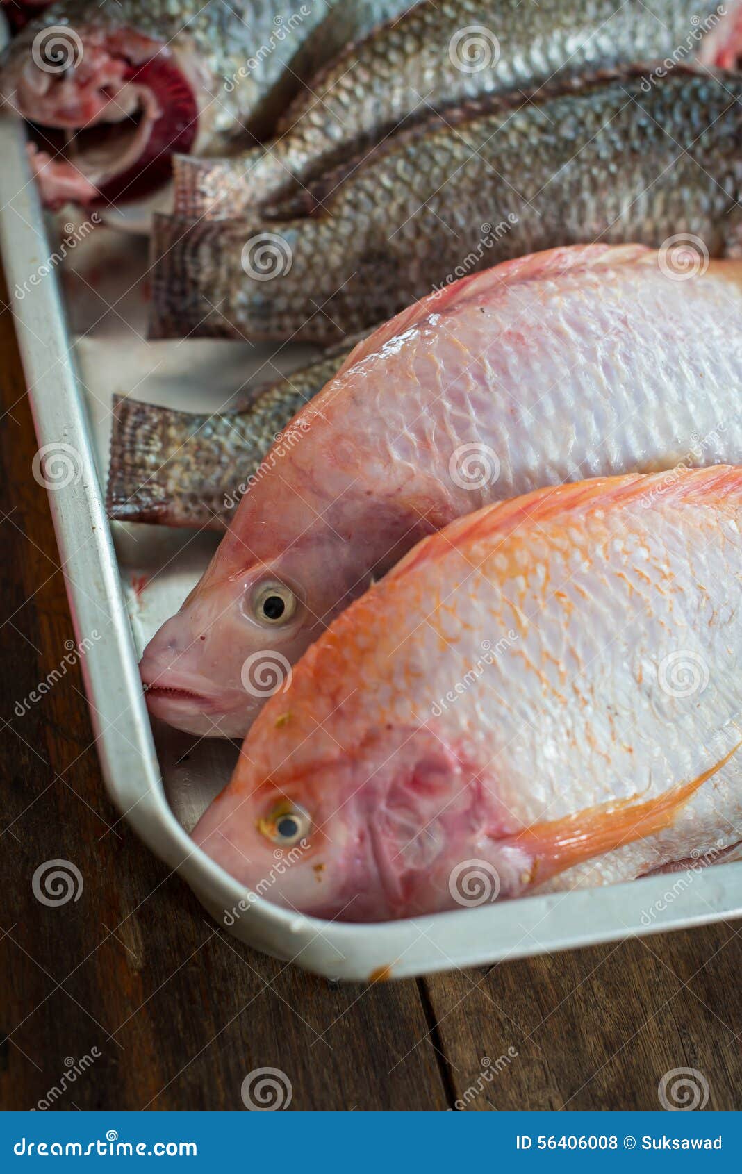 Fish in tray stock photo. Image of container, fishing - 56406008
