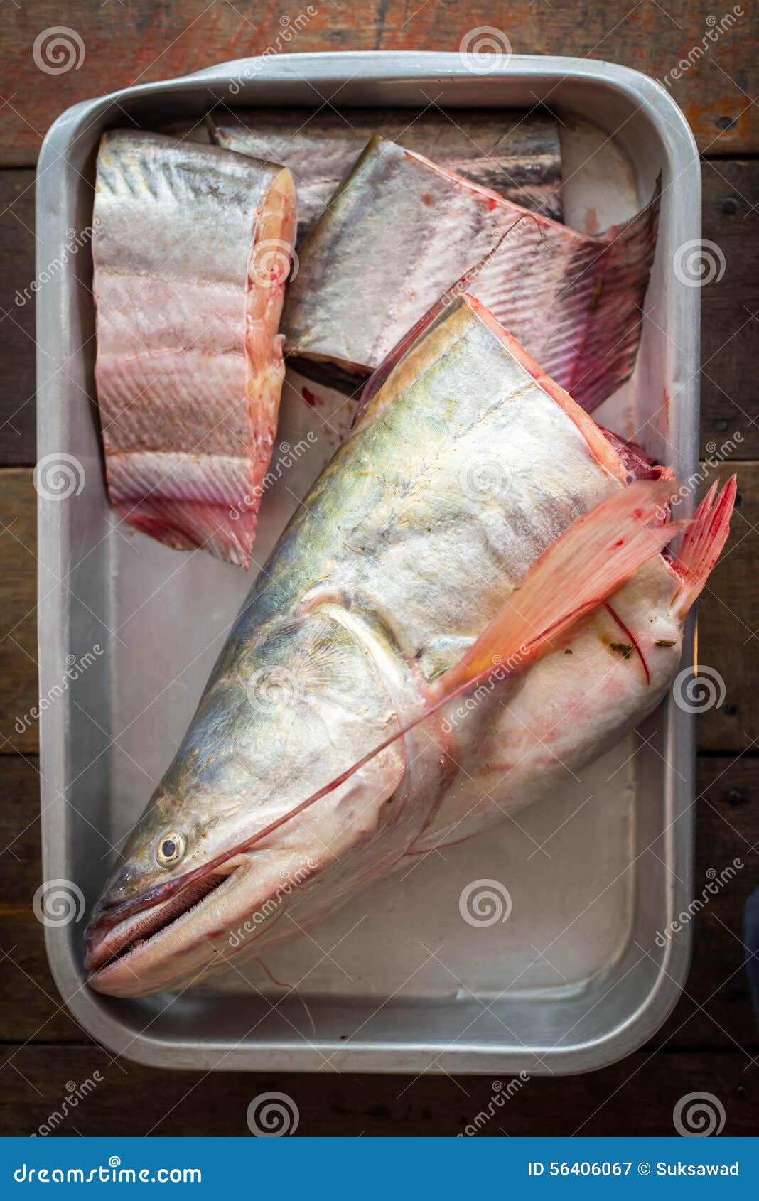 Fish in tray stock image. Image of container, small, crate - 56406067
