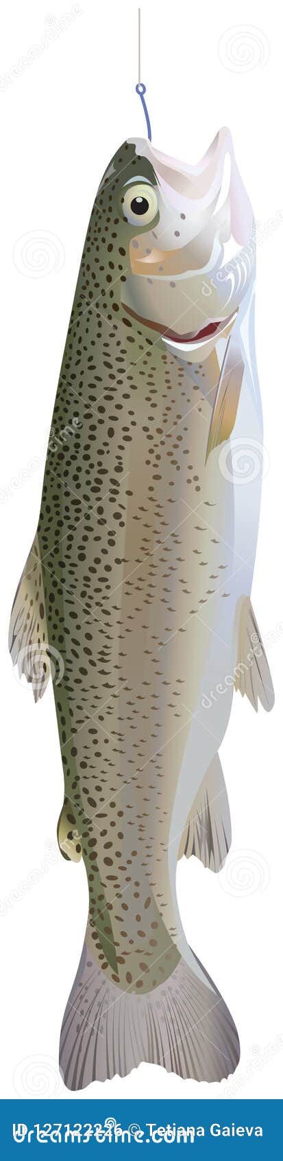 Fish, Trout Hanging on the Hook. Stock Vector - Illustration of food ...