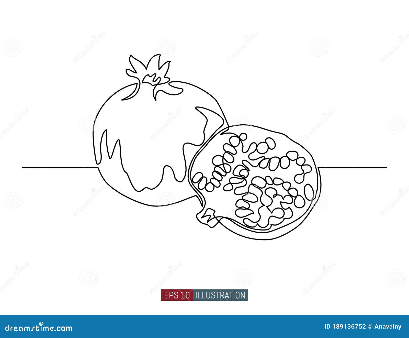 Continuous Line Drawing of Pomegranate. Vector Illustration. Stock ...
