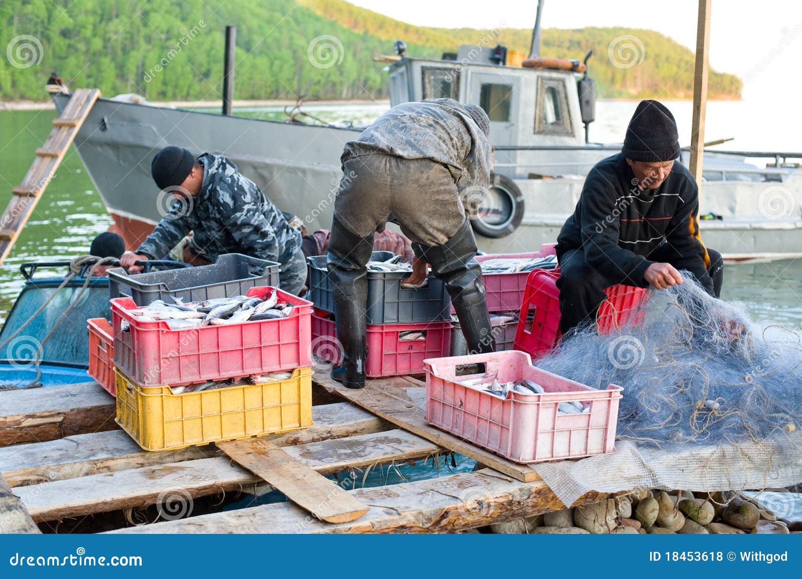 Fish unloading editorial stock photo. Image of catch - 18453618