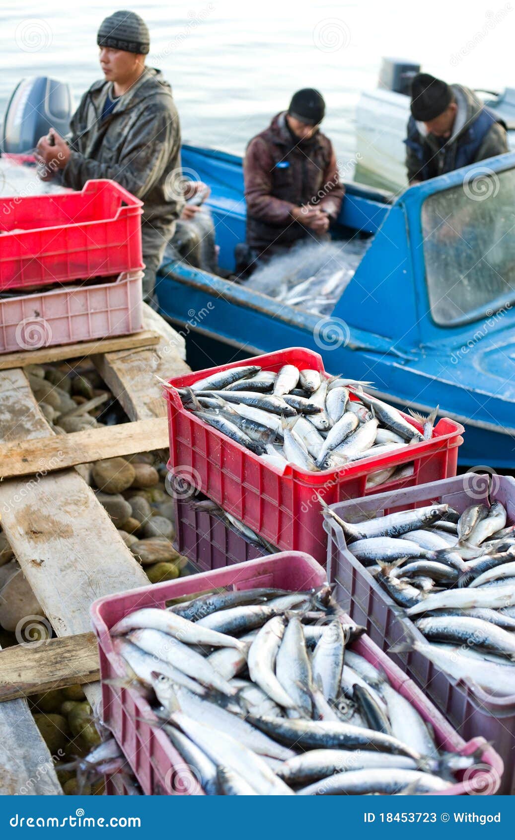 Fish unloading editorial stock photo. Image of fishermen - 18453723