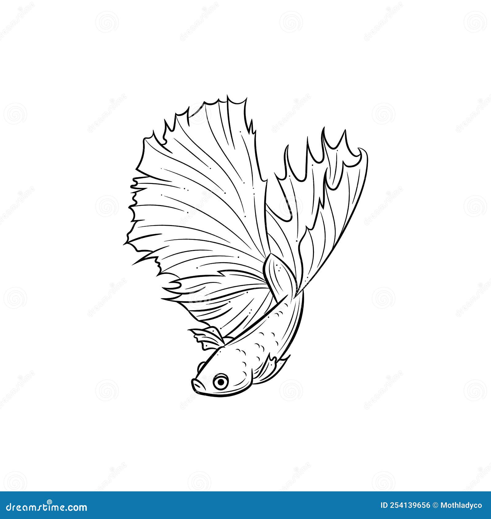 Fish Vector Illustration, Siamese Fighting Fish Also Known As Betta ...