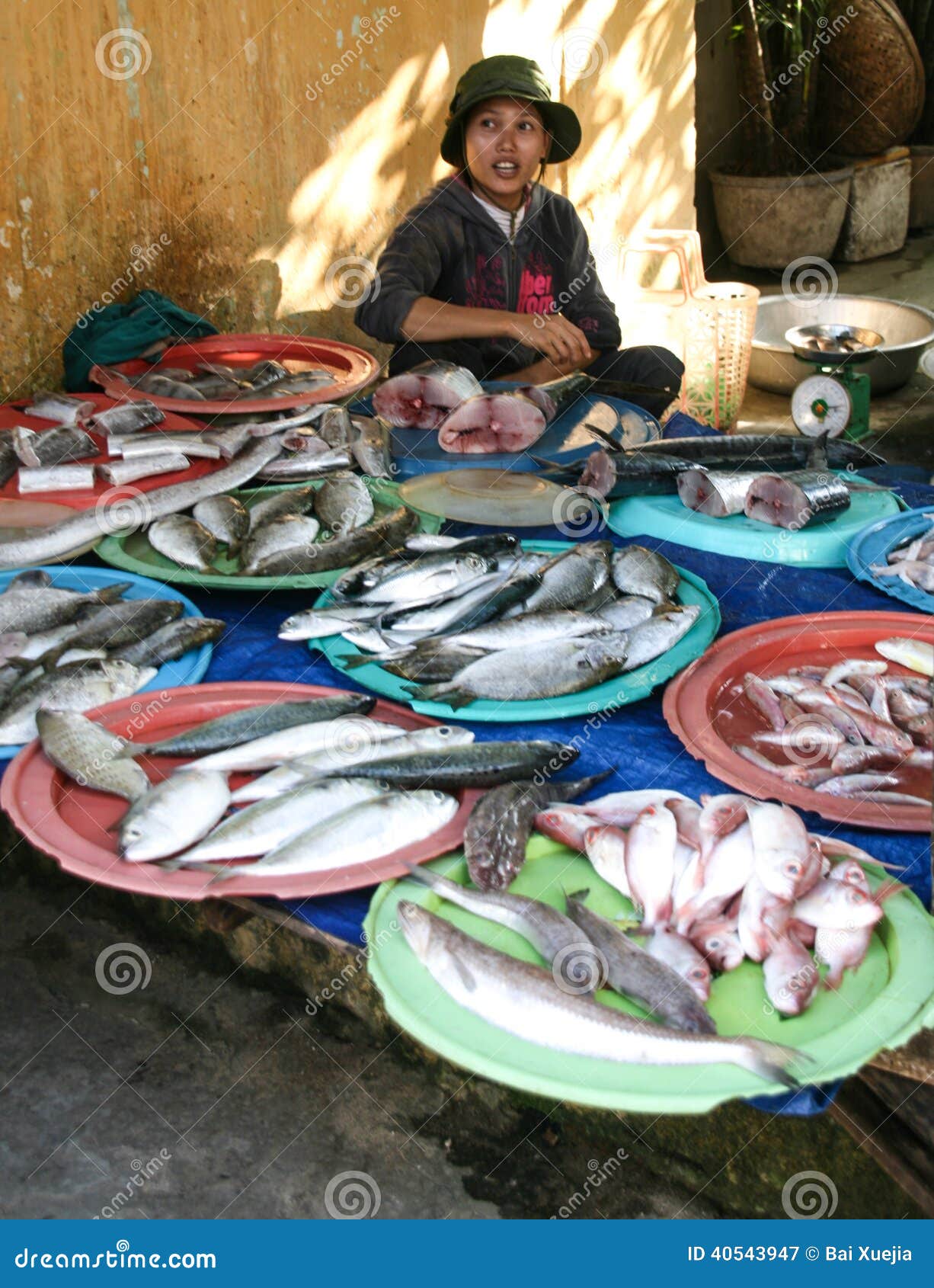 Fish vendor in vietnam editorial photography. Image of woman - 40543947