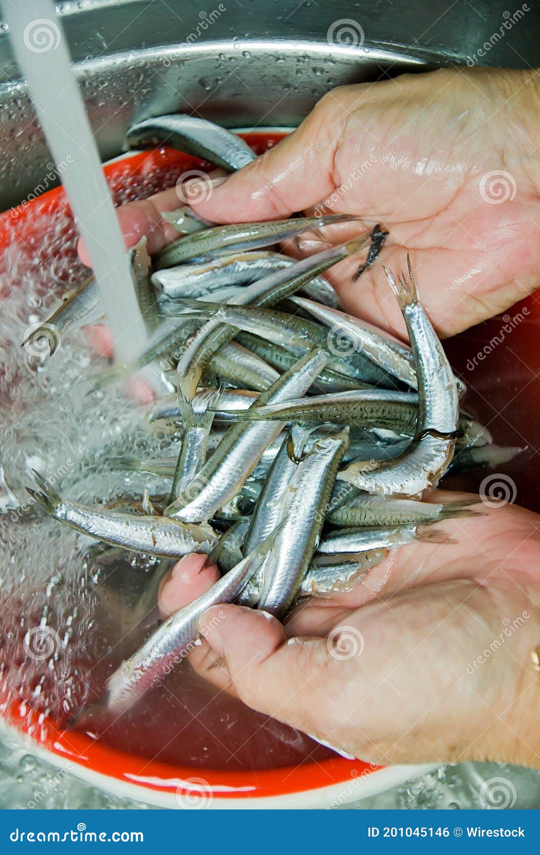 Fish vendor washing fish stock photo. Image of vertical - 201045146
