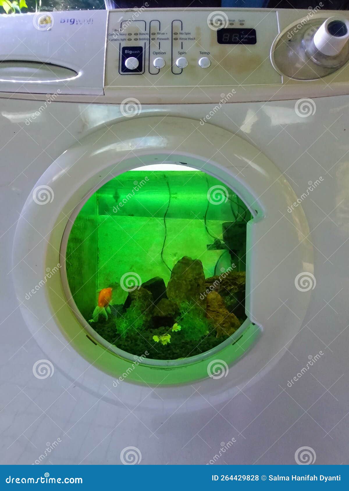 Fish Washing Machine Theme Aquarium Stock Photo - Image of iron, theme ...