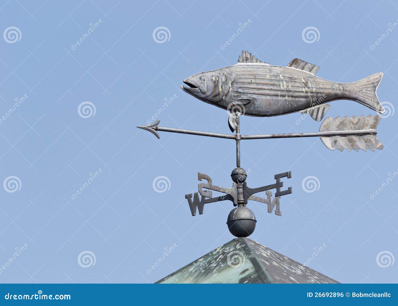 Fish Weathervane stock photo. Image of north, rockfish - 26692896