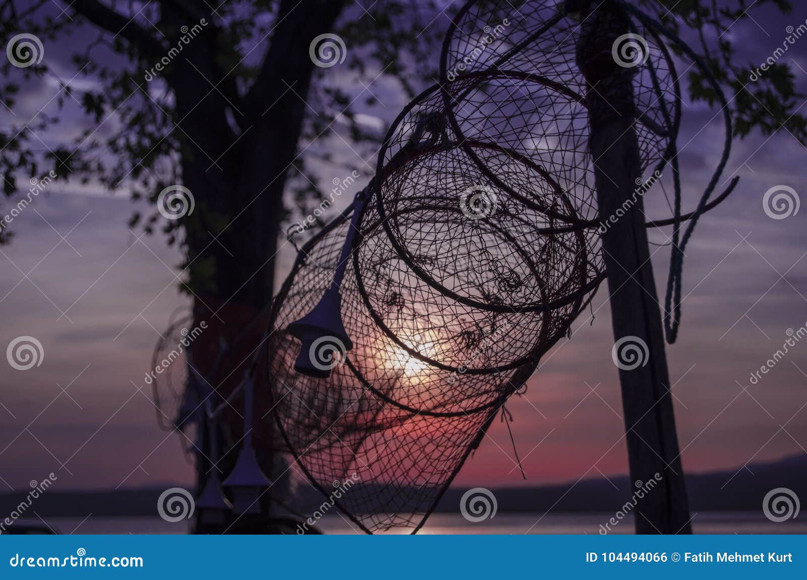 A fish webs on lake stock photo. Image of fish, lake - 104494066