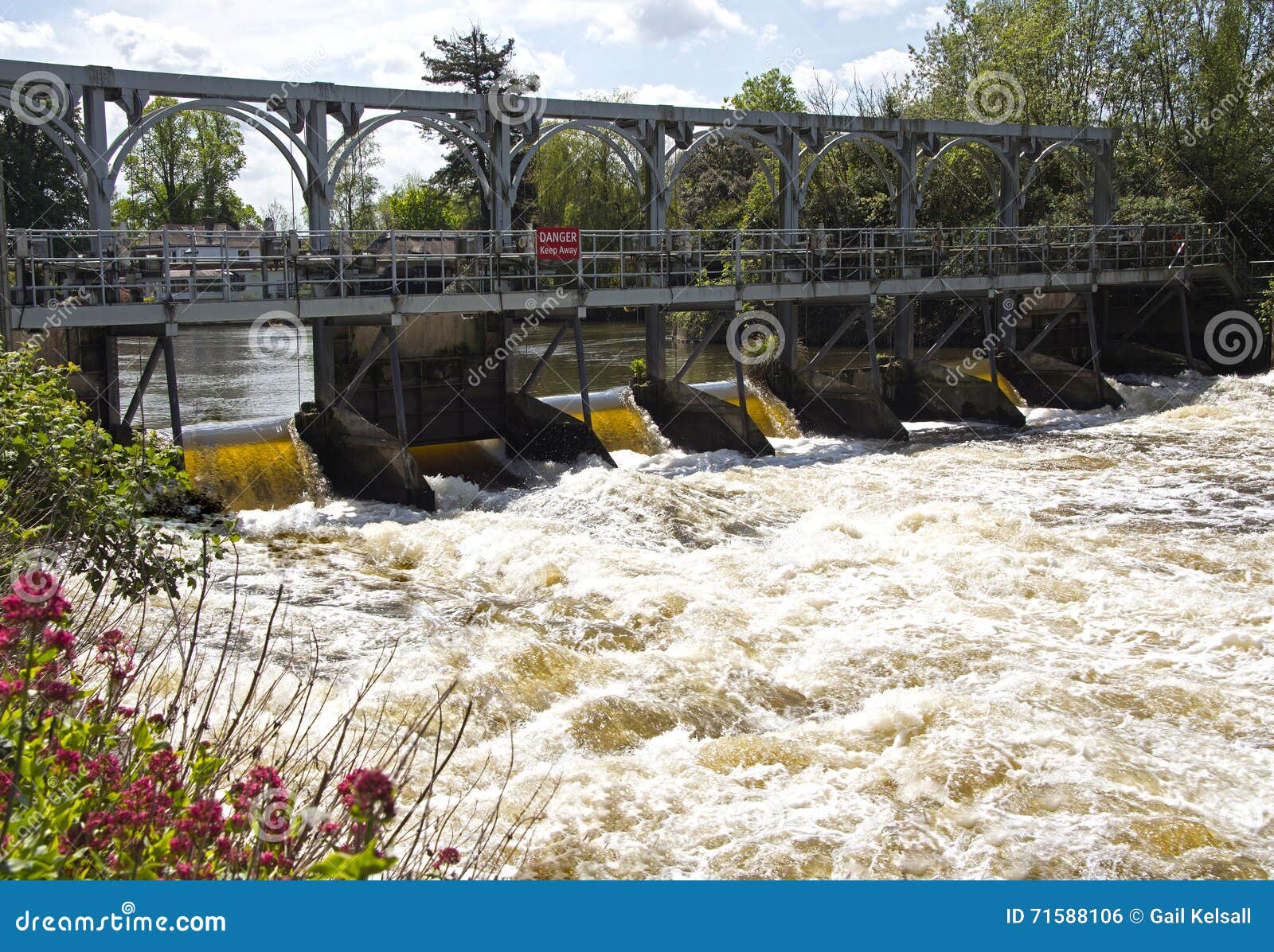 Fish Weir at Marsh Locks Henley-on-Thames Stock Photo - Image of river ...