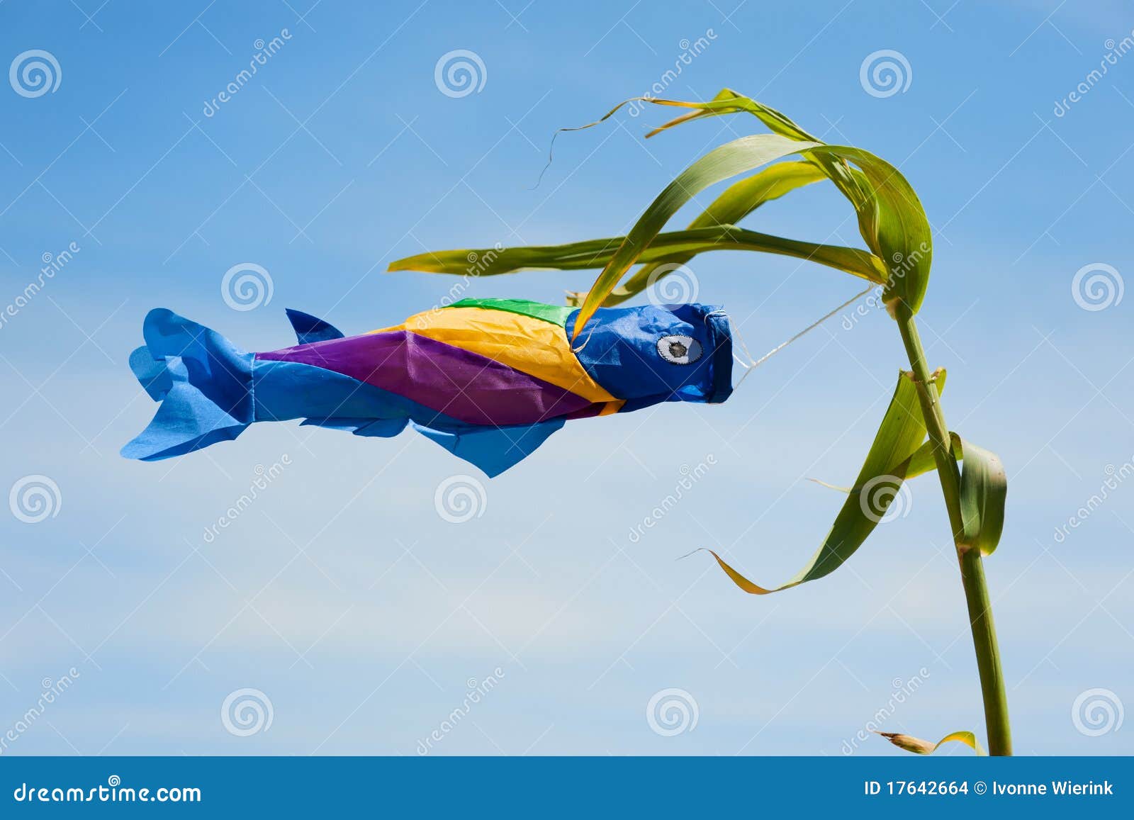 Fish in the wind stock photo. Image of blowing, wind - 17642664