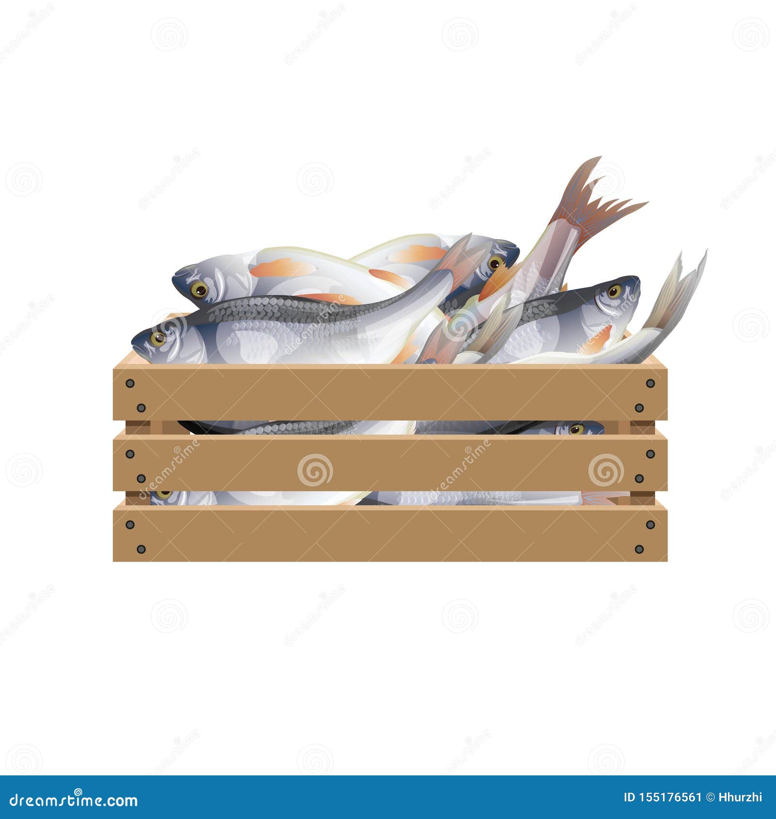 Fish in wooden crate stock vector. Illustration of catch - 155176561