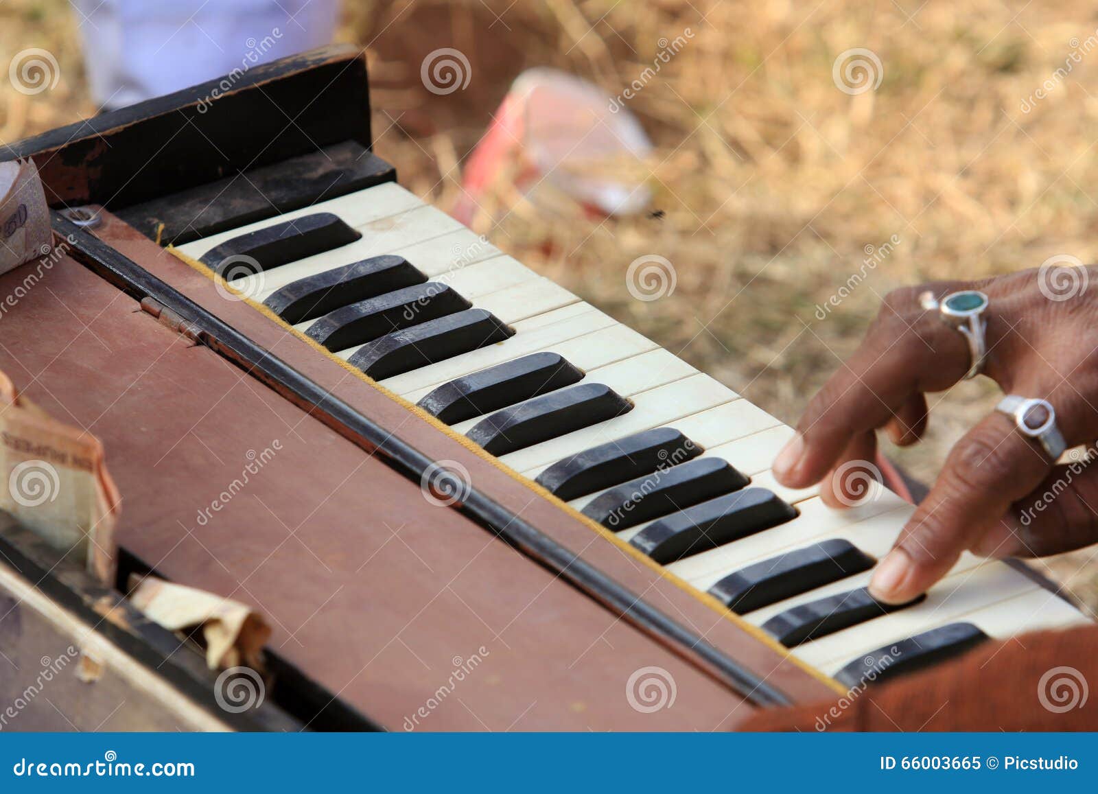 Fisharmonia obraz stock. Obraz złożonej z fisharmonia - 66003665