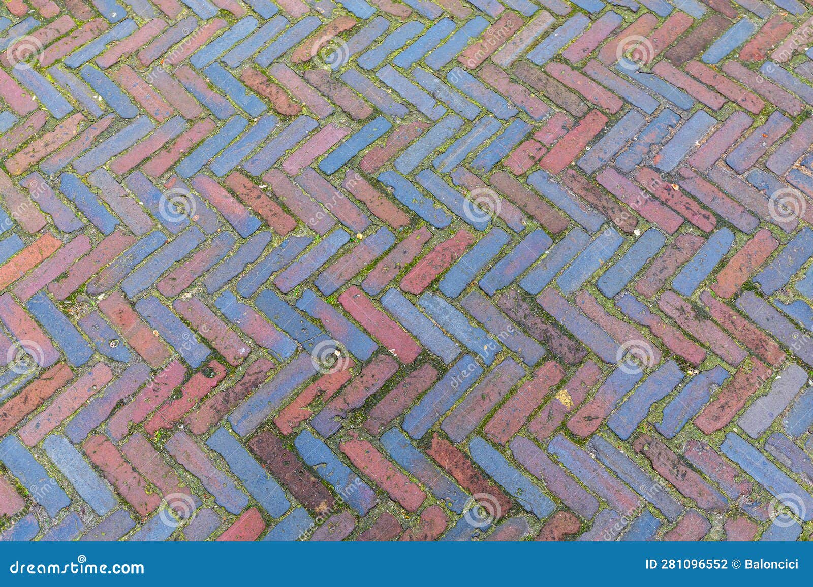 Fishbone Bricks Pavement stock photo. Image of netherlands - 281096552