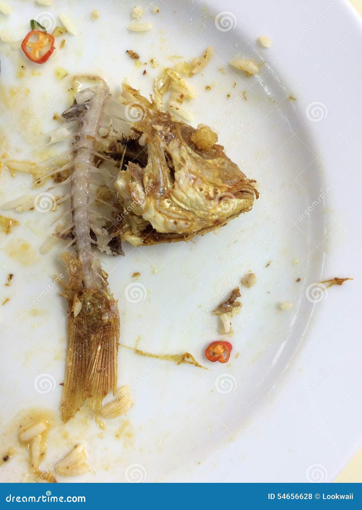 Fishbone stock photo. Image of close, white, dead, alone - 54656628