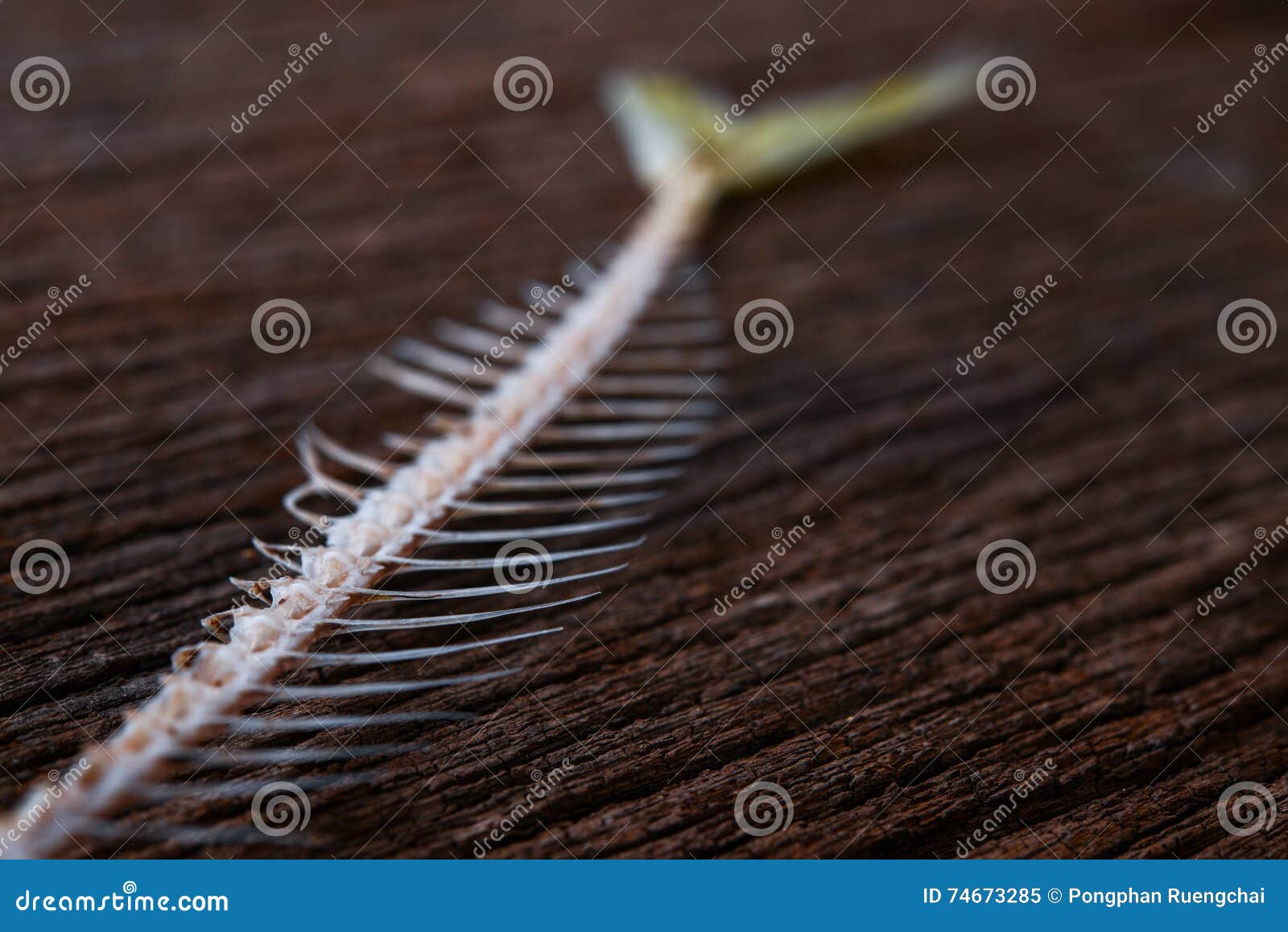 Fishbone Wood Texture Stock Photography | CartoonDealer.com #105532232