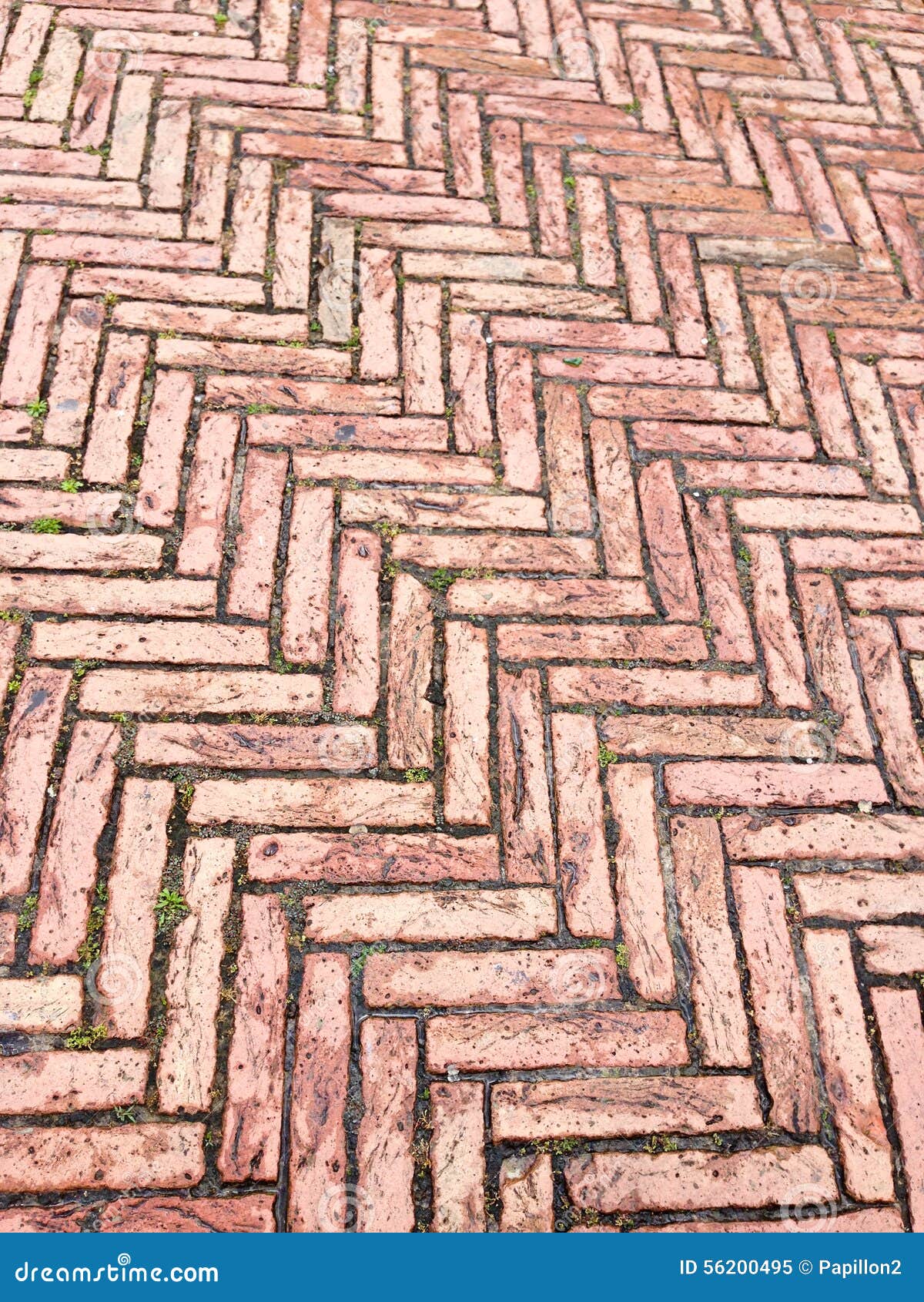 Fishbone-patterned Red Bricks Pavement Stock Image - Image of texture ...