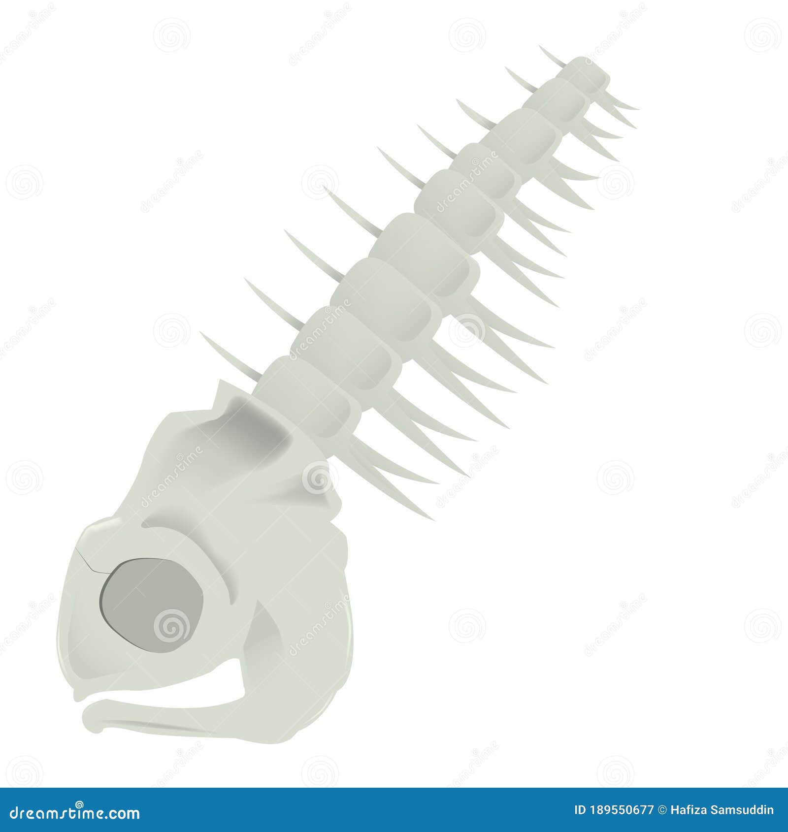 Fishbone. Vector Illustration Decorative Design Stock Vector ...