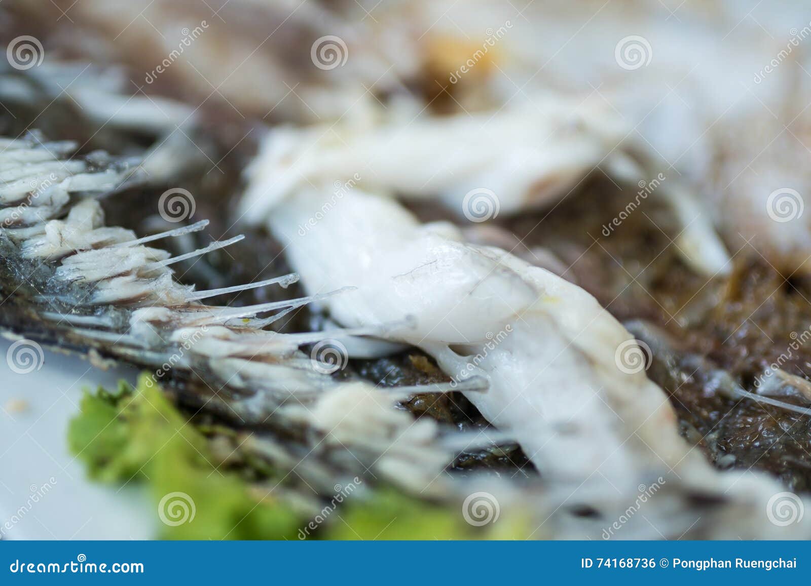 Fishbones stock photo. Image of health, seafood, diet - 74168736