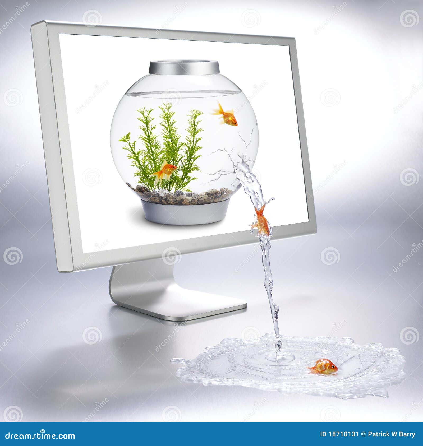 Fishbowl flow stock image. Image of tropical, pets, puddle - 18710131