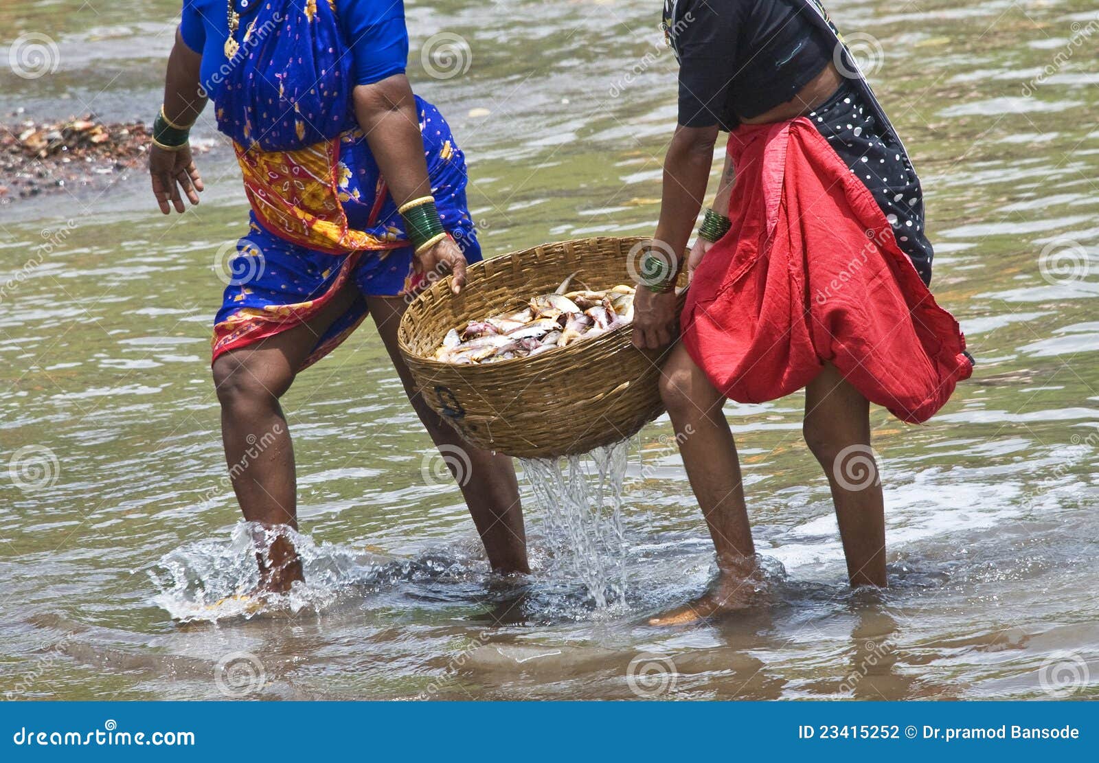 Fish bucket stock photo. Image of koli, bamboo, woman - 23415252
