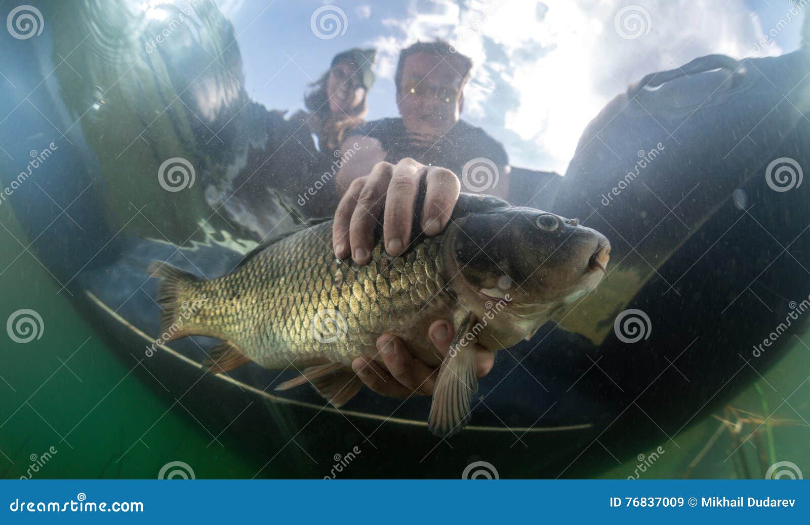 Fisherman stock image. Image of lake, creature, freshwater - 76837009