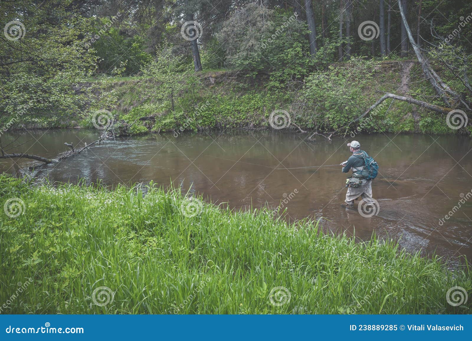 A Fisherman Releases a Small Trout into the Stream Stock Image - Image ...