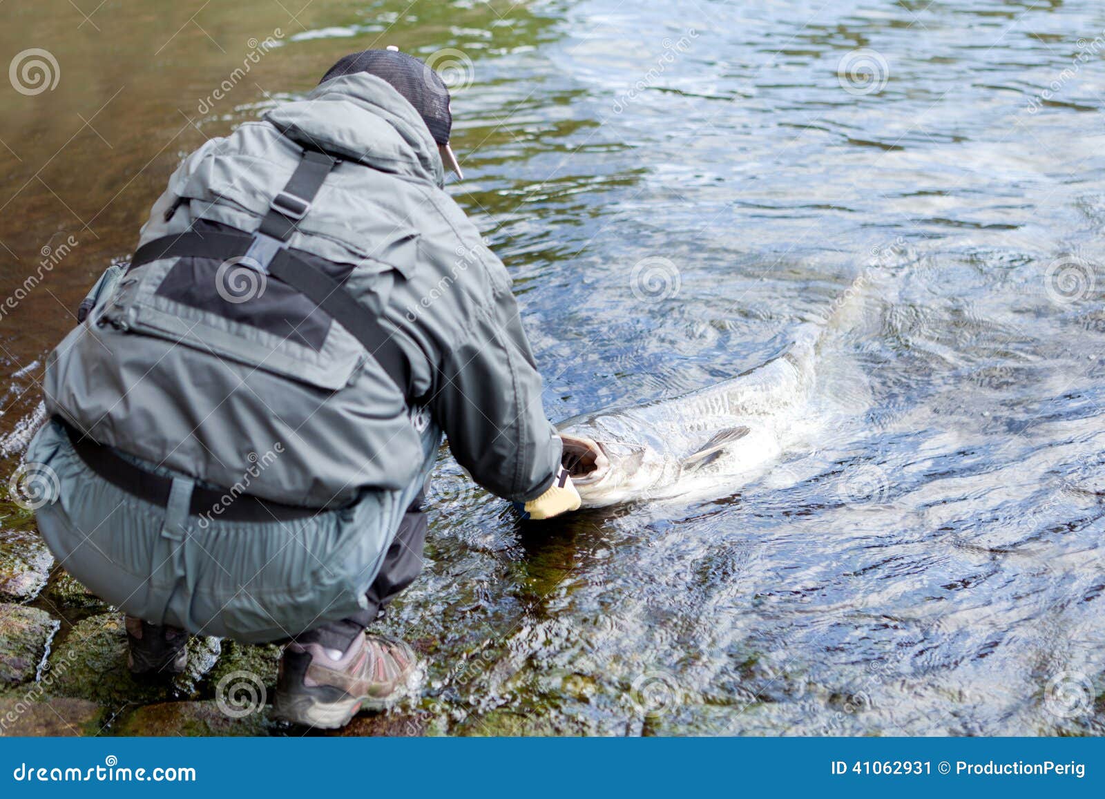 Fisherman Catching a Big Fish in Seine River, Paris Stock Image - Image ...
