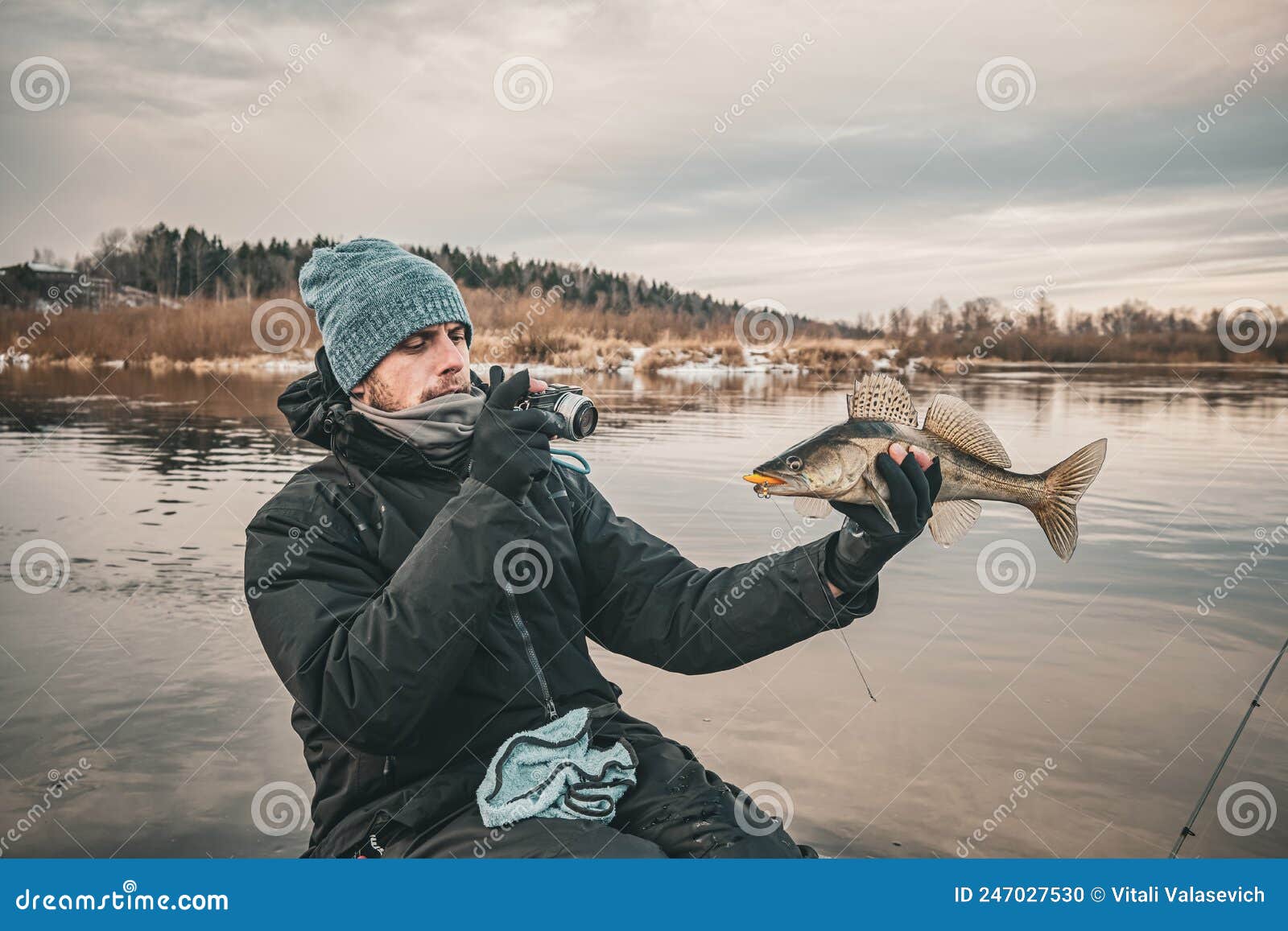 The Fisherman Caught a Beautiful Walleye Stock Photo - Image of catch ...