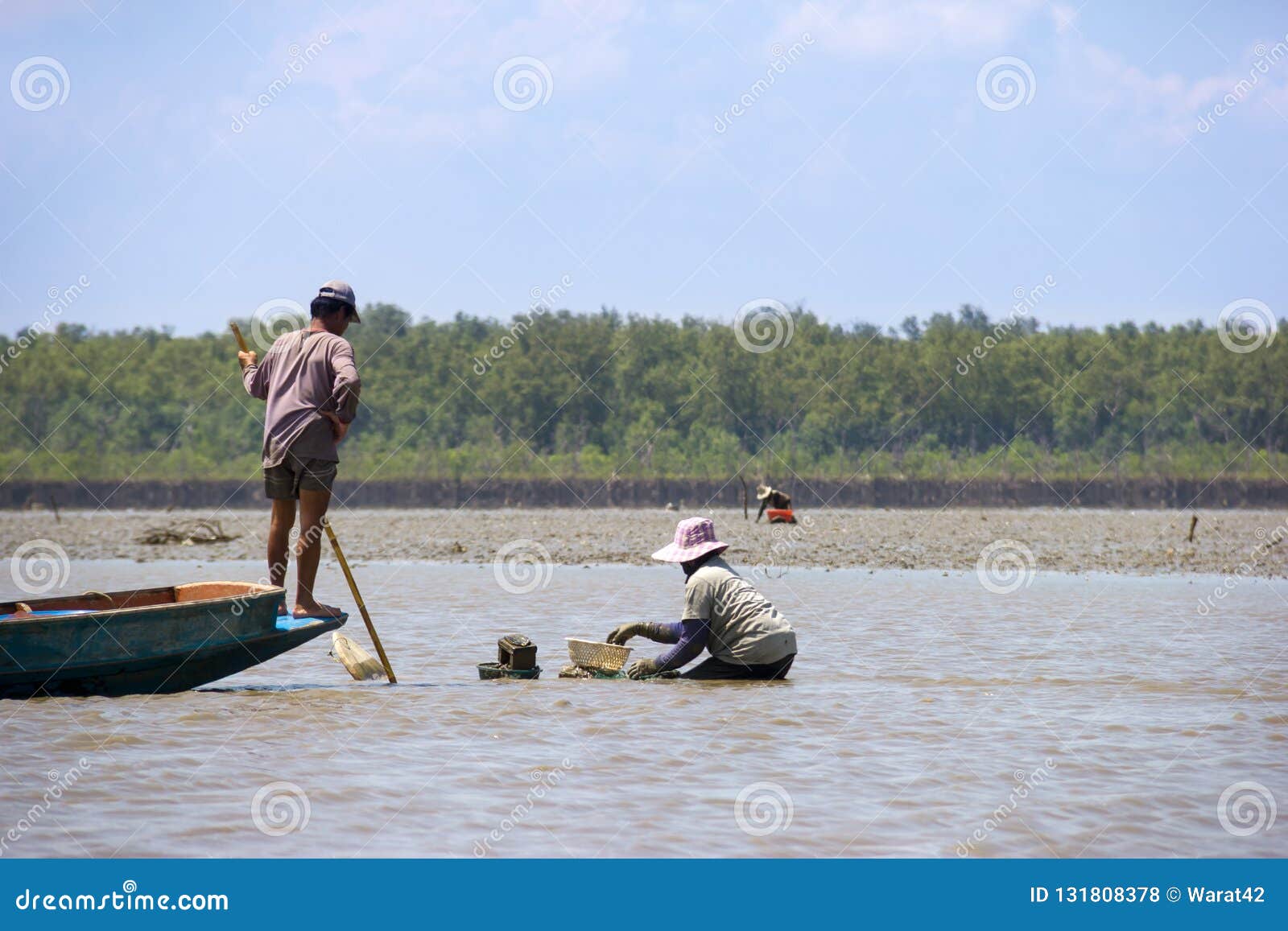 Fisherman Collecting Shells on the Beach Editorial Stock Photo - Image ...