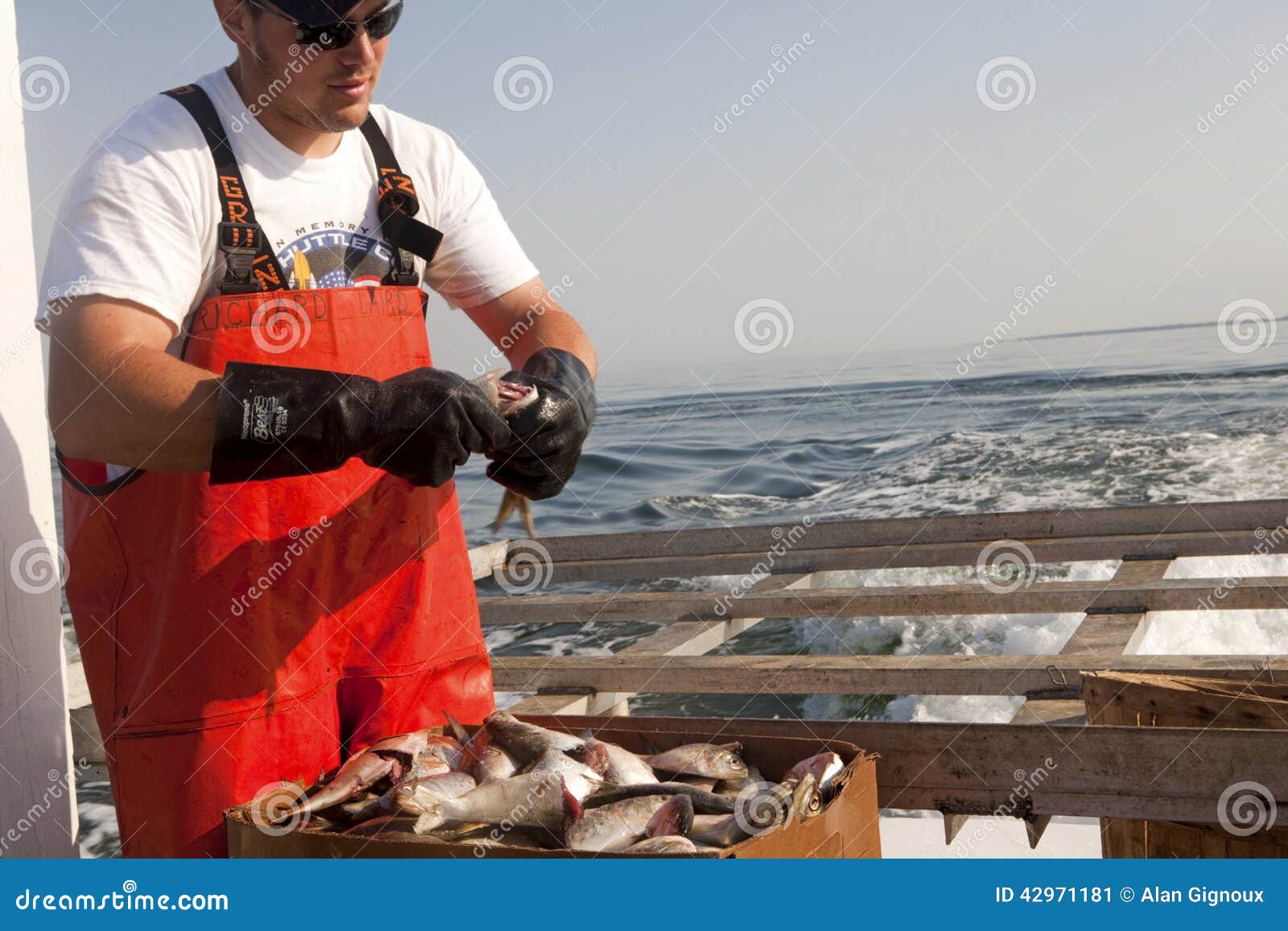 A Fisherman Cutting Up Fish Editorial Photo - Image of fish, pots: 42971181