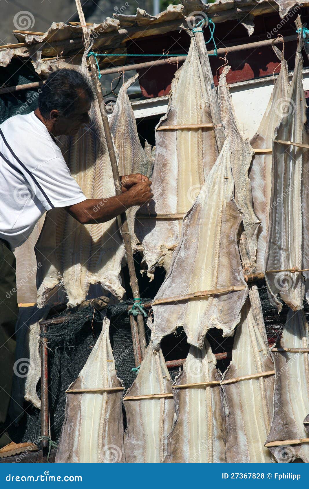 Fisherman and Drying Stockfish, Madeira Editorial Stock Photo - Image ...