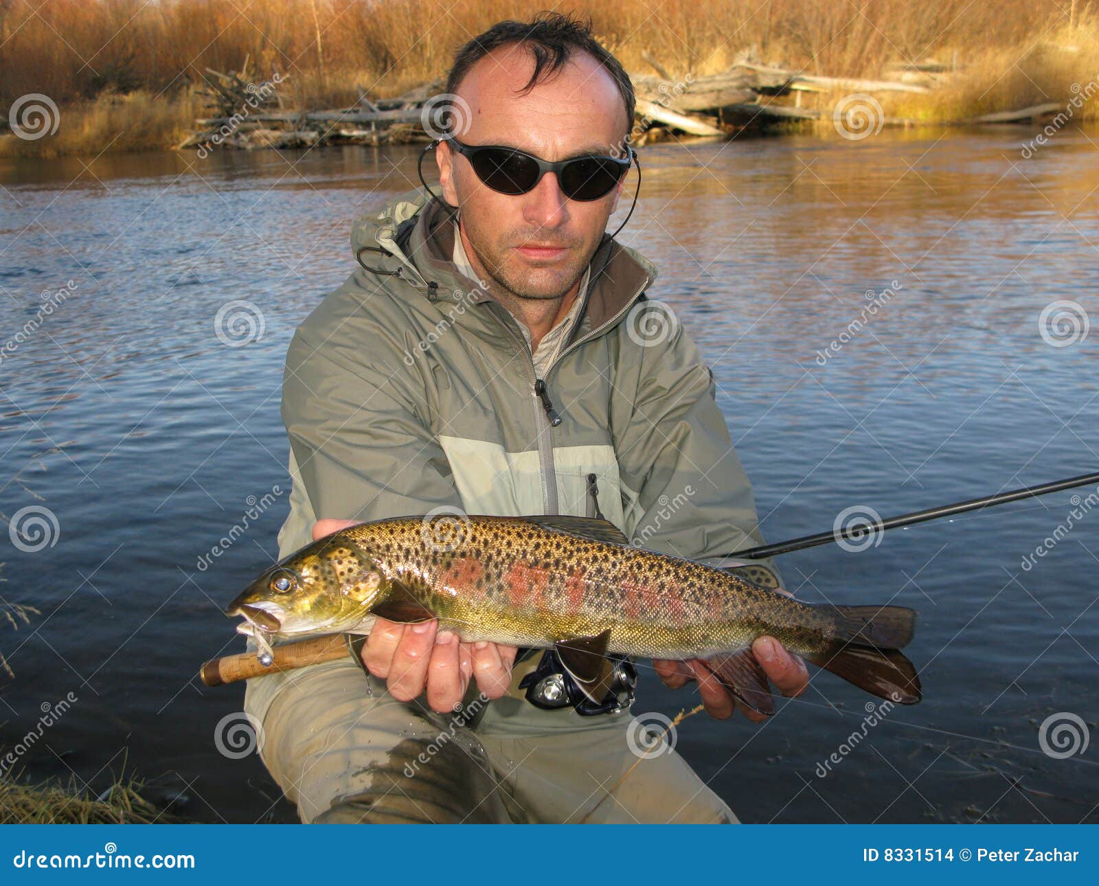 182 Lenok Fish Stock Photos - Free & Royalty-Free Stock Photos from ...