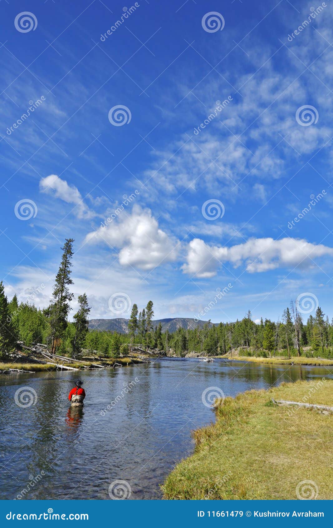 The Fisherman Fishes in Shallow River Stock Image - Image of vibrant ...