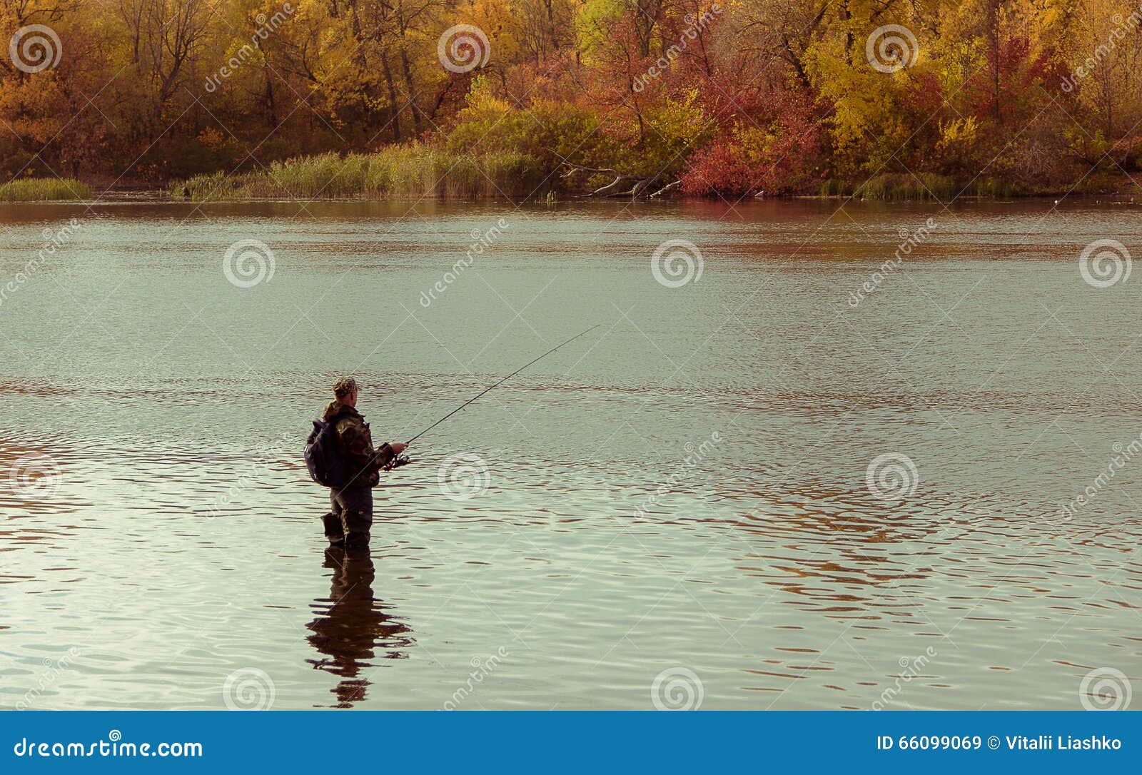 Fisherman Fishing Standing in Water Stock Image - Image of evening ...