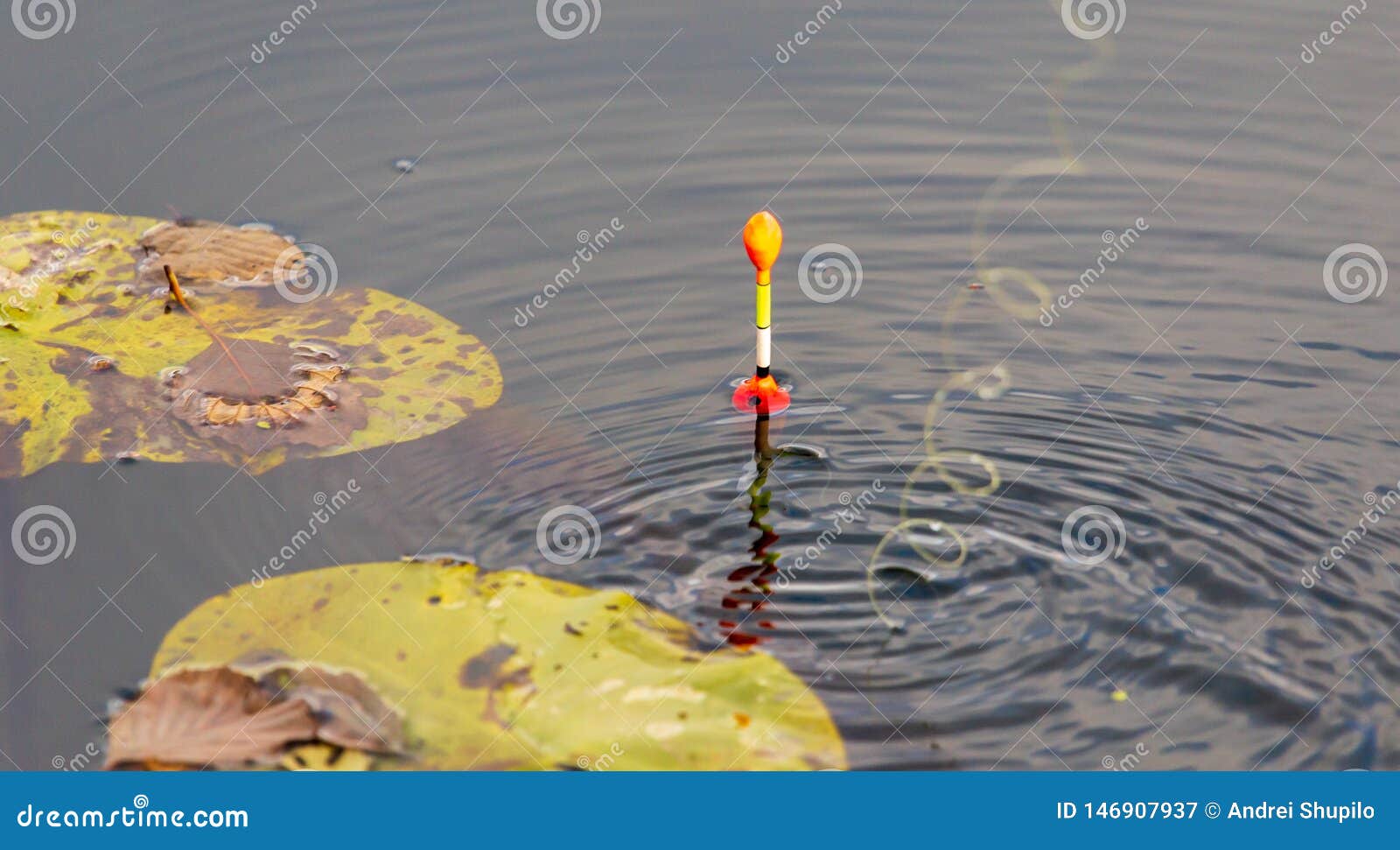 Fisherman Float on the Surface of the Water Stock Image - Image of lake ...