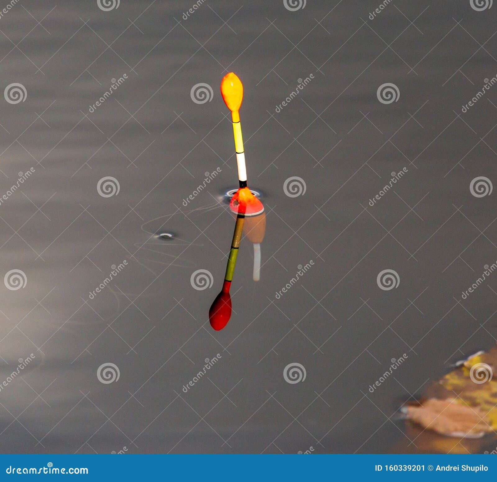 Fisherman Float on the Surface of the Water Stock Image - Image of ...