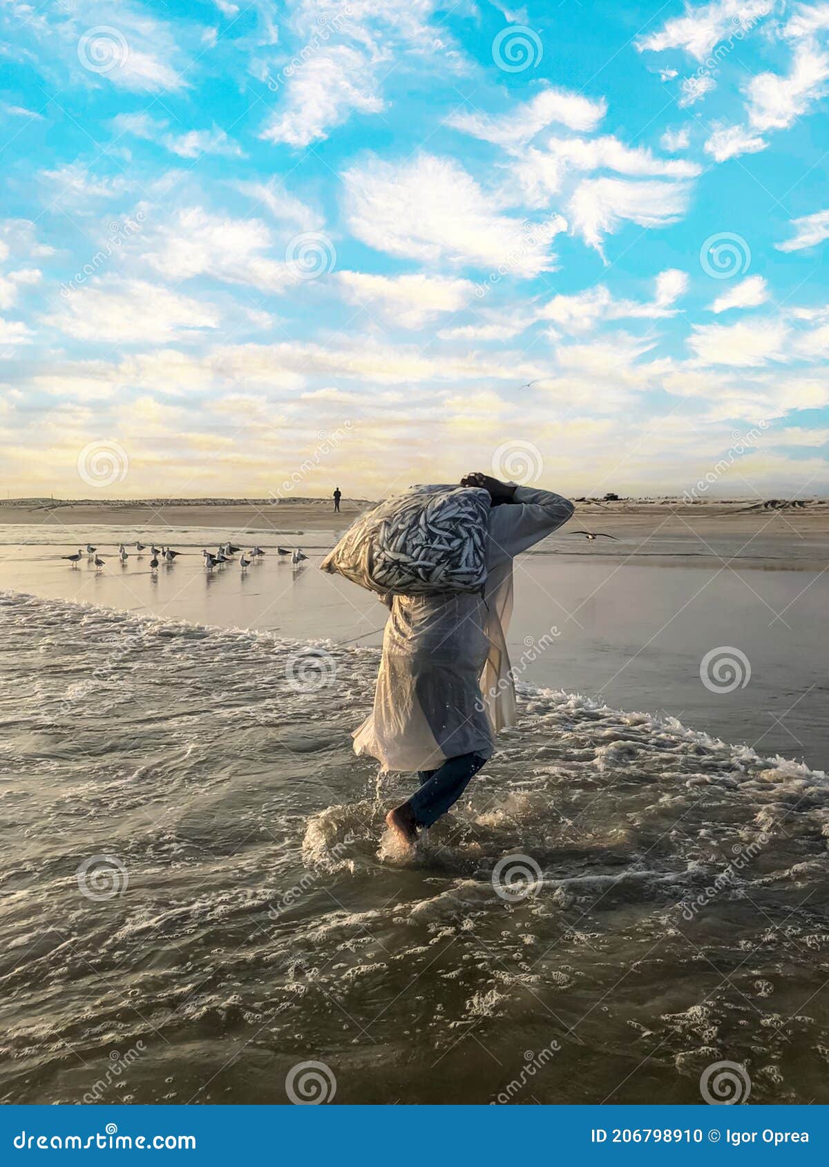 Fisherman with Full Net of Fish in the Ocean Stock Photo - Image of ...