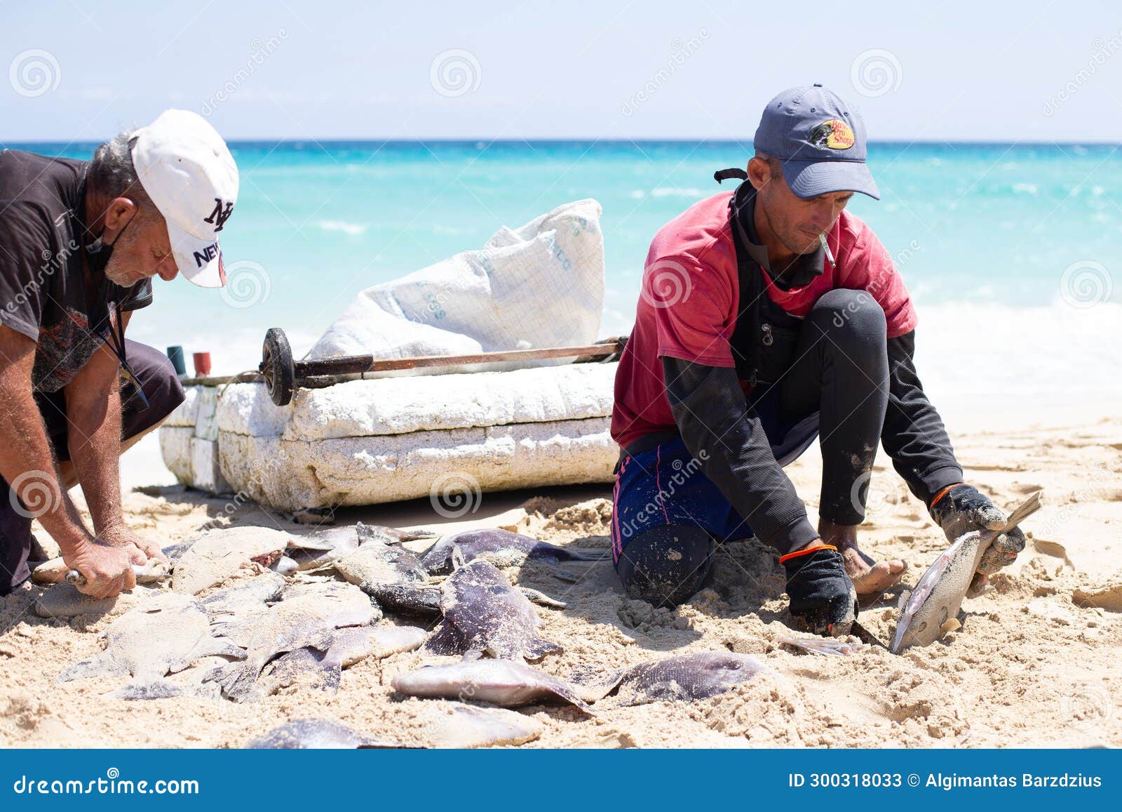 A Fisherman Guts a Freshly Caught Fish on a Cuban Beach 04 28 2022 ...