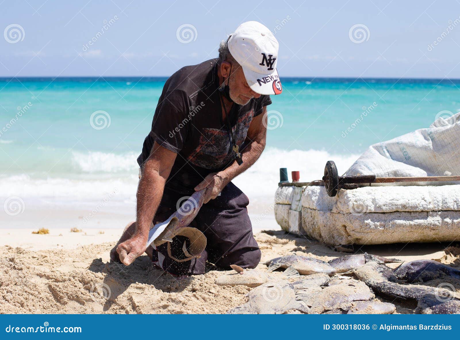 A Fisherman Guts a Freshly Caught Fish on a Cuban Beach 04 28 2022 ...